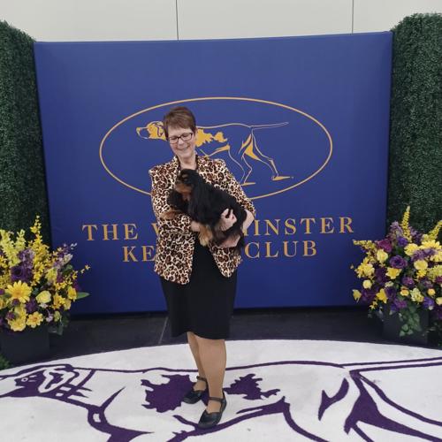 Meet 4 dogs from, near Lancaster County set to compete at Westminster ...