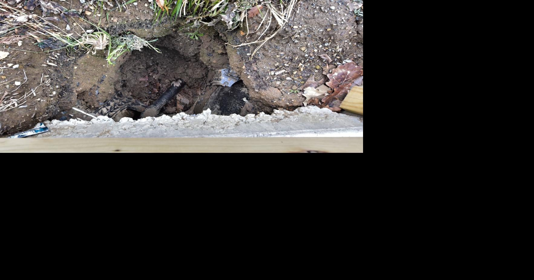 Repair work needed to fix sunken soil in tree wells on city block that ...