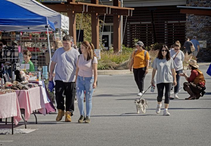 Manheim Township library celebrates 10-year anniversary [photos ...