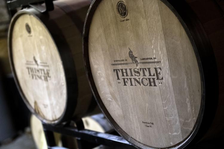Thistle Finch Distillery turns to making disinfectant following ...