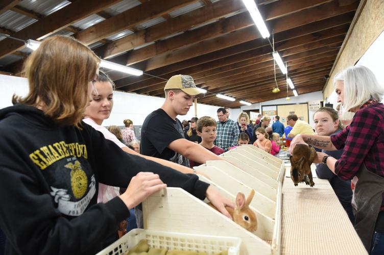 The 66th Manheim Community Farm Show [photos] | Local News ...