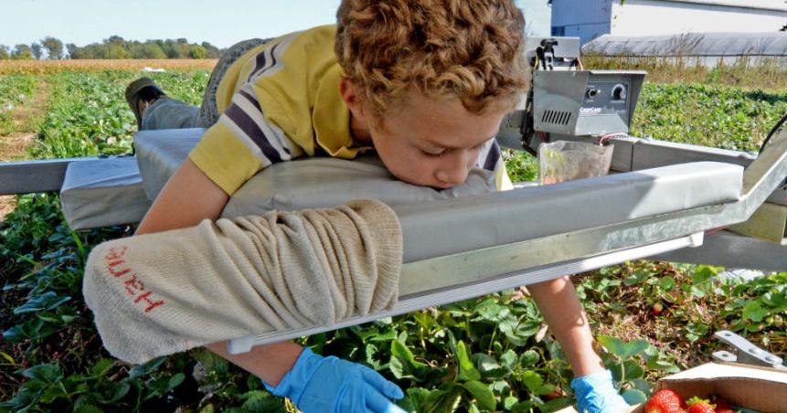 Lititz firm’s solar-powered farm cart makes for easy pickins’ | Local ...