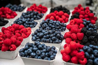 Where to go blueberry, raspberry and cherry picking in, near Lancaster ...