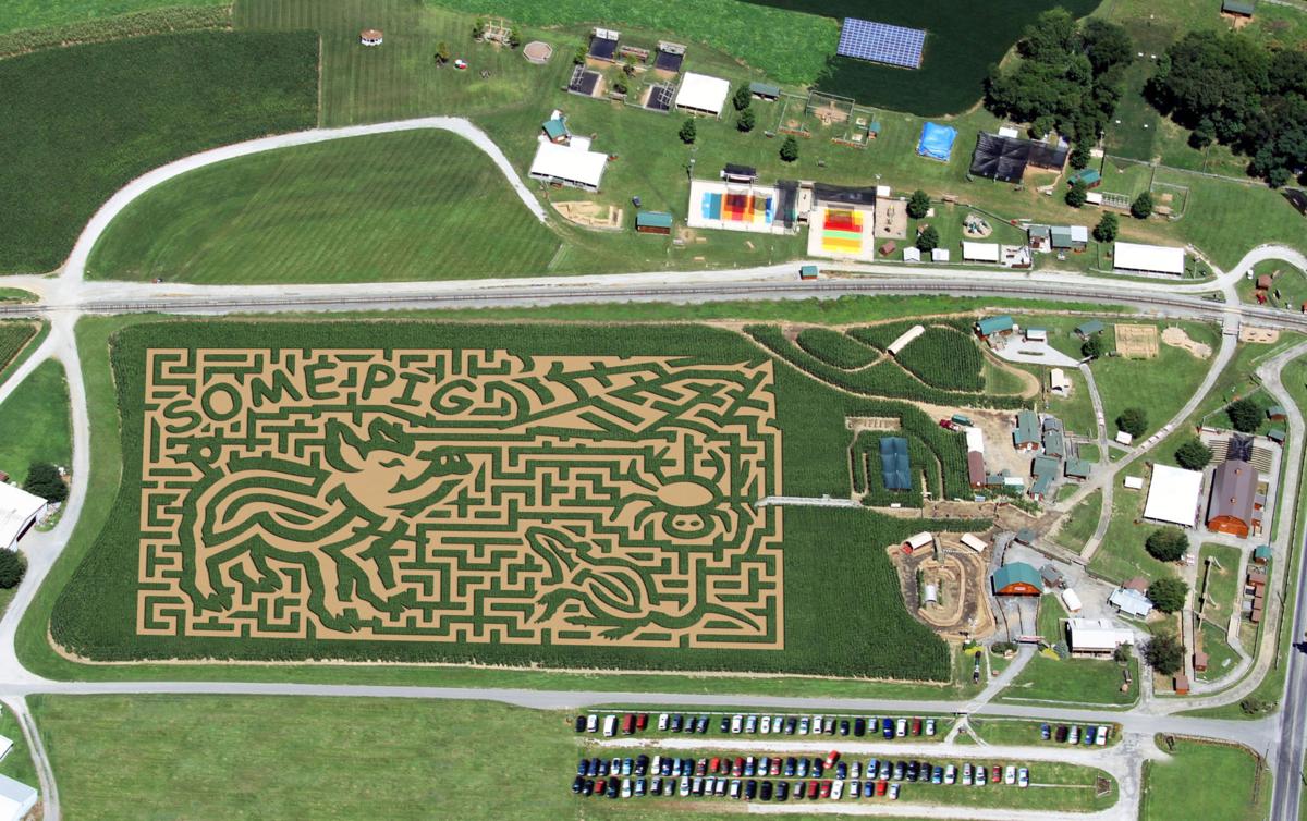 Join LancasterOnline for a live walk through the Amazing Maize Maze ...