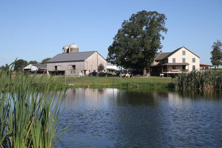 A day in the life on the farm: Kevin Stairiker visits Verdant View Farm ...