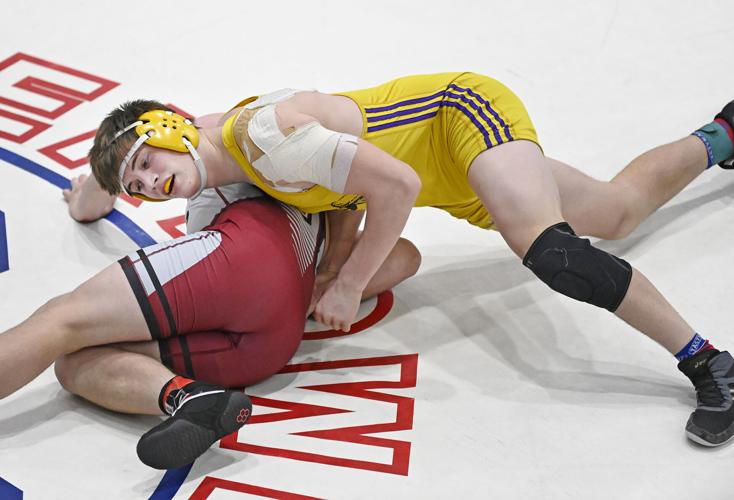 District 3 Class 3A South Central Wrestling Championships [photos ...