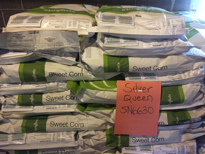 Watch how your garden seeds are packaged in 7 GIFs | Home & Garden ...