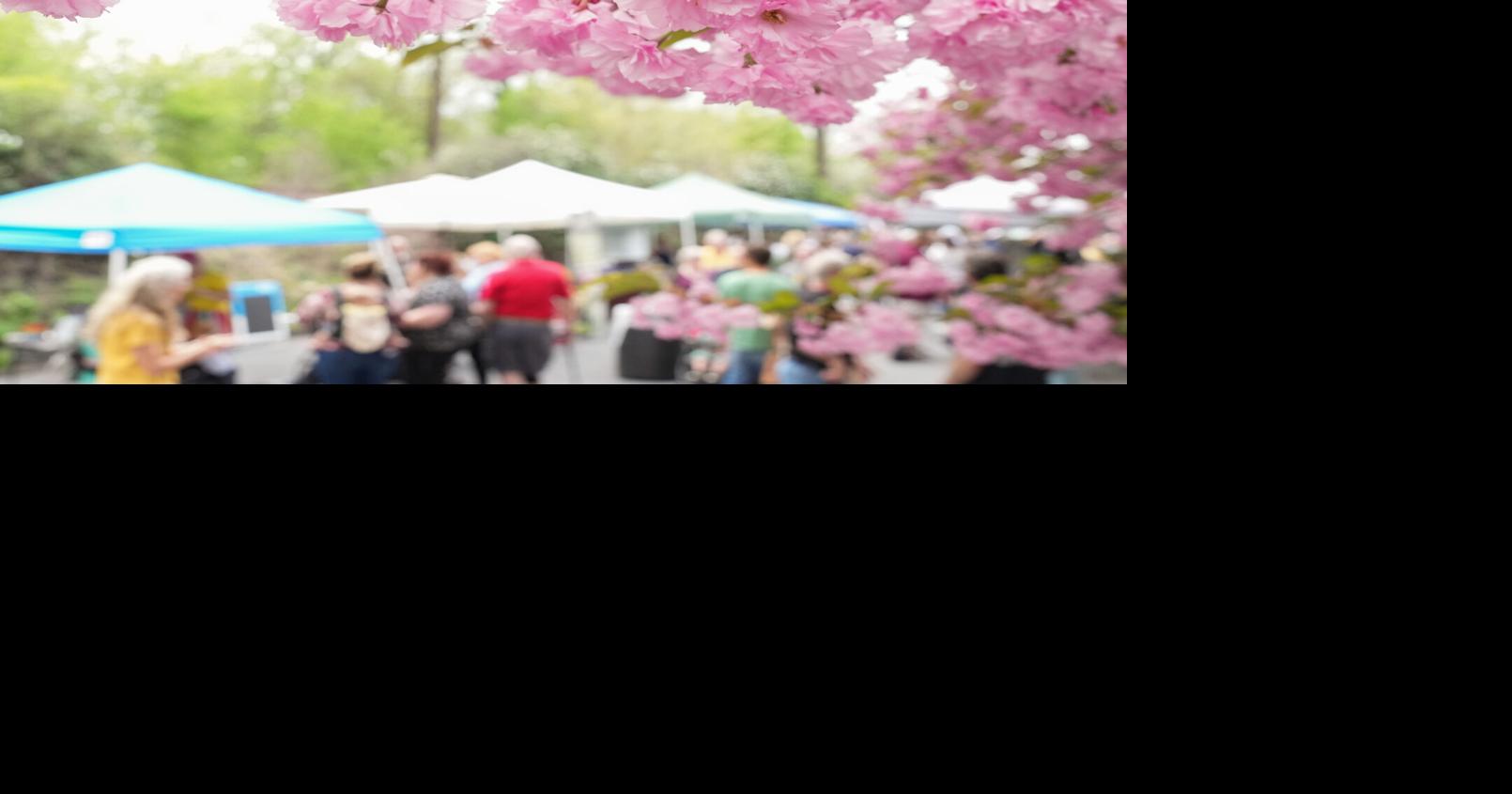 7 events in Lancaster County to check out this weekend, from a cherry ...