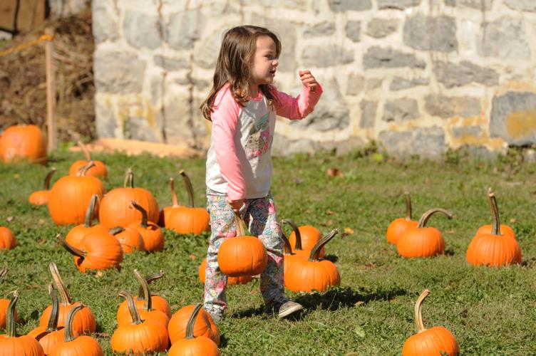 7 ways to celebrate fall in Lancaster County | Life & Culture ...