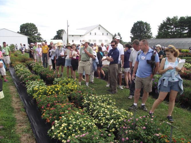 Penn State flower trials take the guesswork out of gardening | Local ...