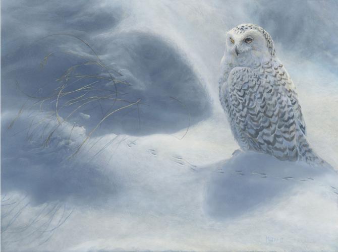 Laura Mark-Finberg's wildlife paintings featured in show opening ...