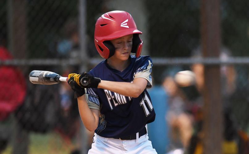Mountville Cubs vs. Penn Manor Comets - LNP 10U baseball championship ...