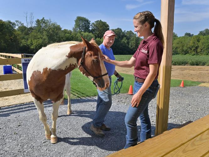 Bridlepath Equine Center [photos] | | lancasteronline.com