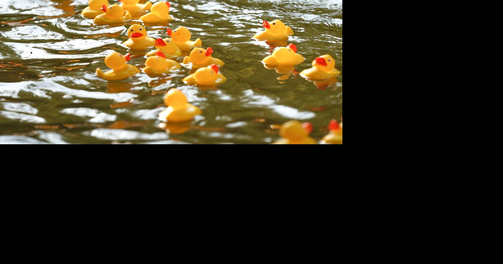 Schreiber Pediatric holds annual Rubber Duckie Race & Festival this ...