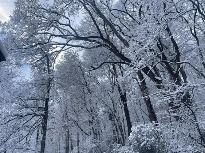 Readers share wintry sights from around Lancaster County [photos ...