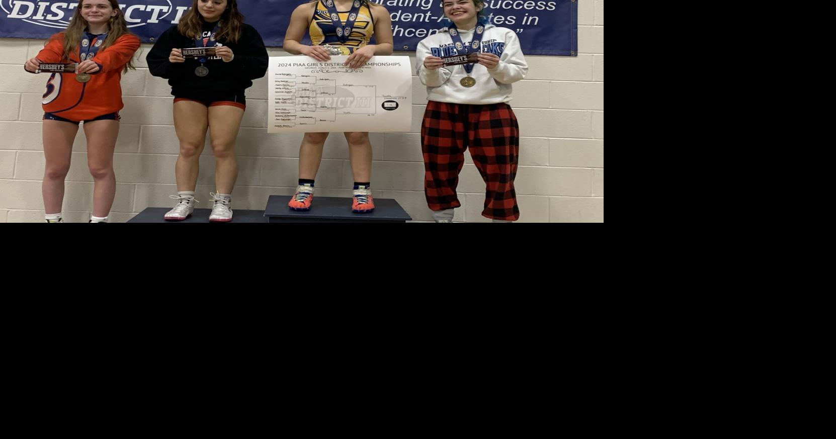 Elco's Kylee Trostle claims 112-pound District 3 girls wrestling title ...