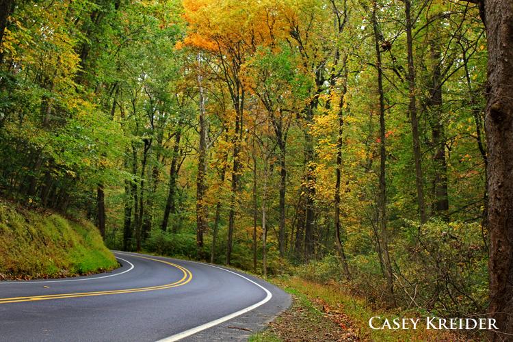 Speedwell Forge Road | Blogs | lancasteronline.com