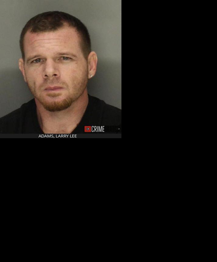Quarryville man nearly strikes officer, runs horse and buggy off road ...