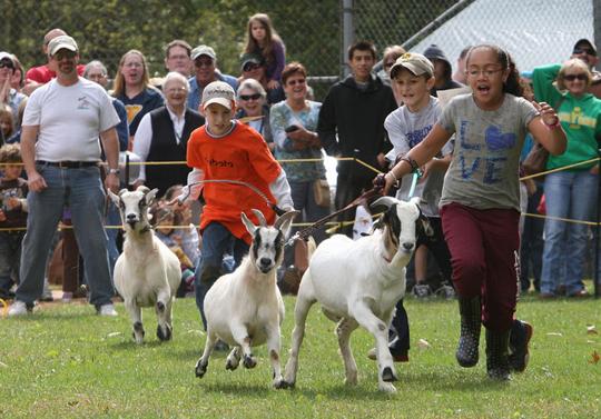 Organizers meet this coming Tuesday to talk about 2014 Falmouth Goat ...
