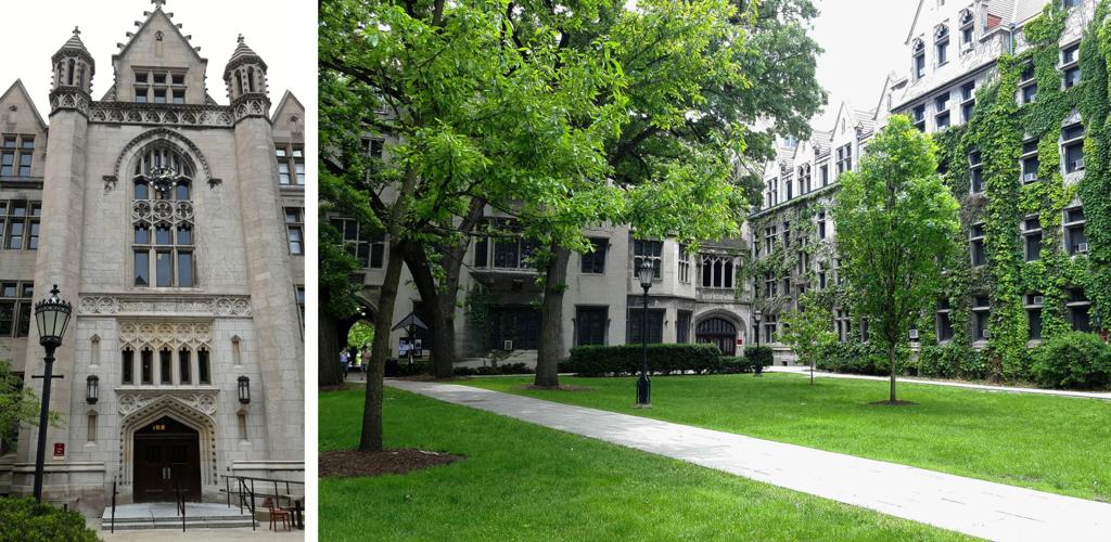 Unscripted: Coming to terms with divergent architecture | Life ...