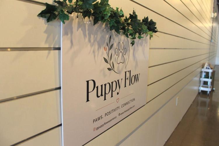 Puppy Flow to offer yoga with puppies in new Shops at Rockvale studio ...