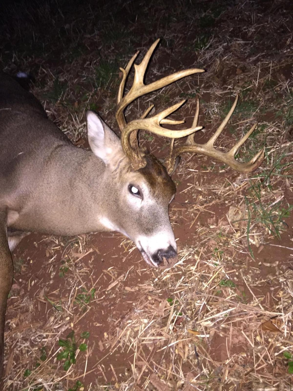15-point buck tops 'Deers for Beers' contest for Elizabethtown man ...