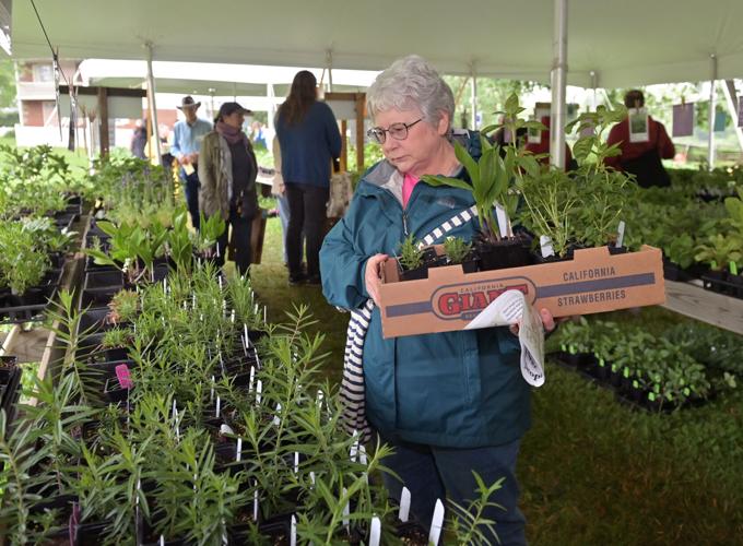 Gardeners flock to Landis Valley Village and Farm Museum for annual ...