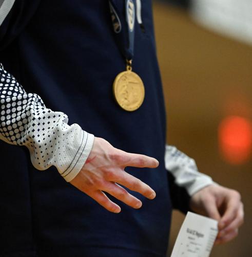 District 3 Class 3A South Central regional wrestling championships ...