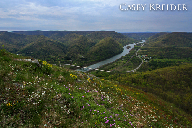 Hyner View | Blogs | lancasteronline.com