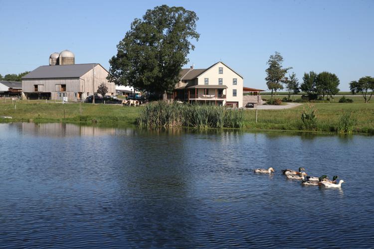 A day in the life on the farm: Kevin Stairiker visits Verdant View Farm ...