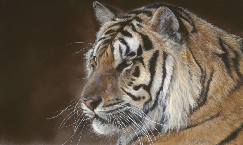Laura Mark-Finberg's wildlife paintings featured in show opening ...