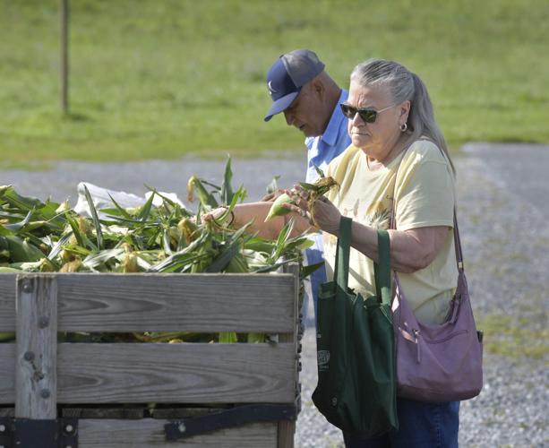 Summer's favorite treat is ready at the Corn Wagon in Lancaster [photos ...