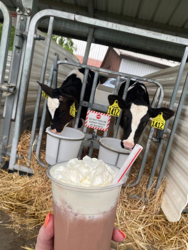 Ask a Local: Favorite Milkshakes | Visit Lancaster | lancasteronline.com