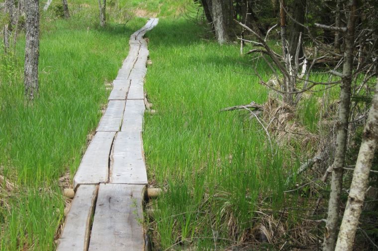 Design Intervention: Footbridges | Lifestyle | lancasteronline.com