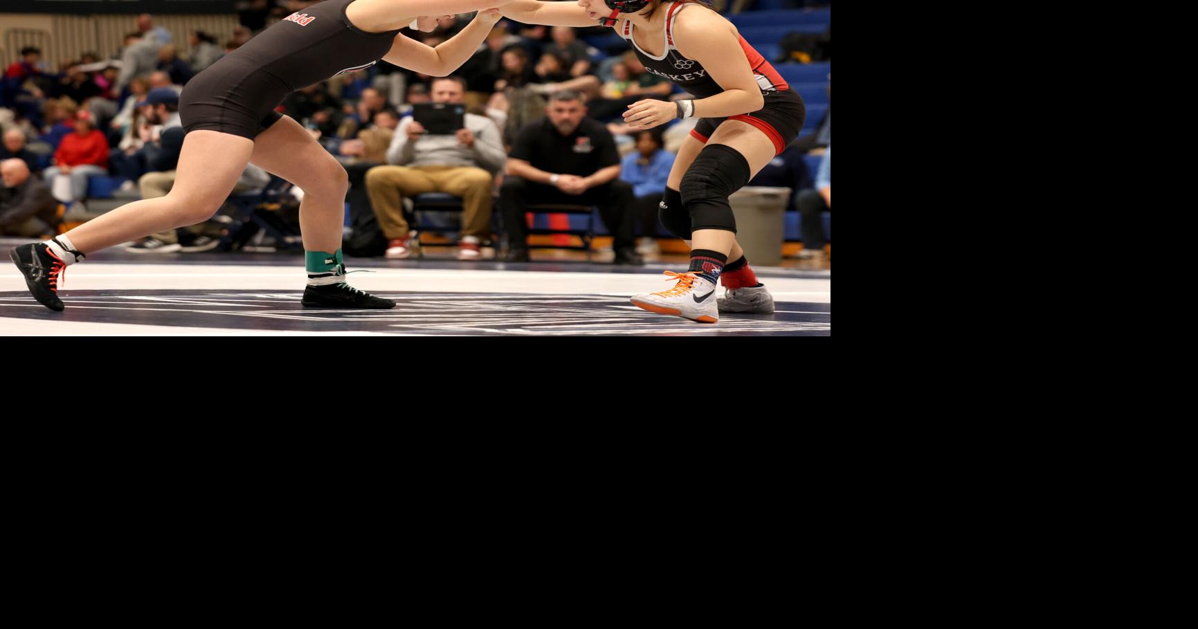 Road to PIAA girls wrestling championships begins for L-L League ...