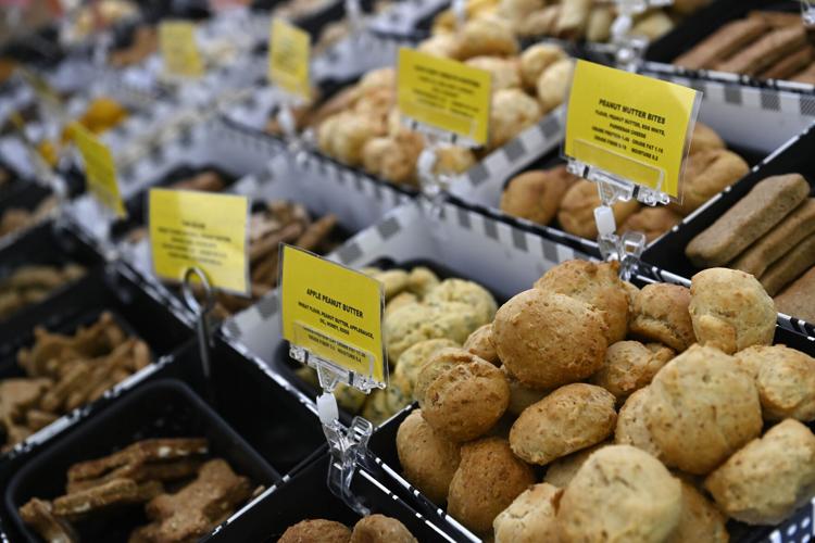 Mayfest kicks off the month of May in Marietta [photos] | Entertainment | lancasteronline.com