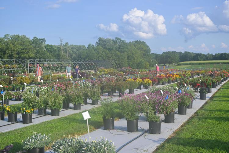 Tour idea gardens, pollinator plants and Lancaster County's top flowers ...