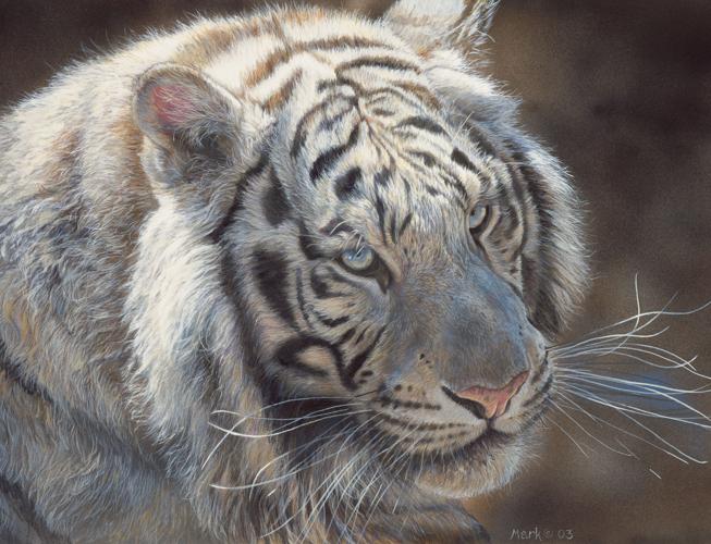 Laura Mark-Finberg's wildlife paintings featured in show opening ...