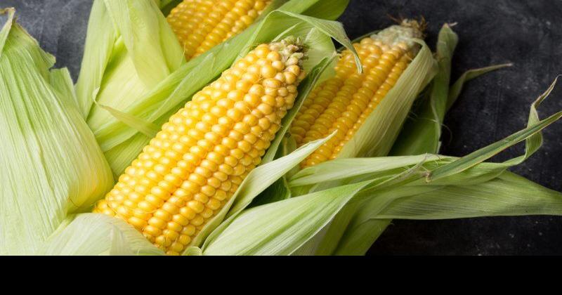 Get the Most Out of Corn Season by Preserving Your Fresh Corn | Food ...
