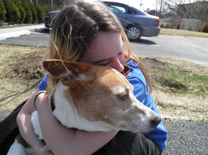 SPCA spotlight: Meet Jennifer Nields, operations manager and more ...