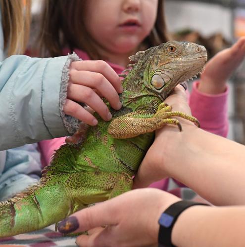 Reptilian critters come to Lancaster County, courtesy of Reptile ...