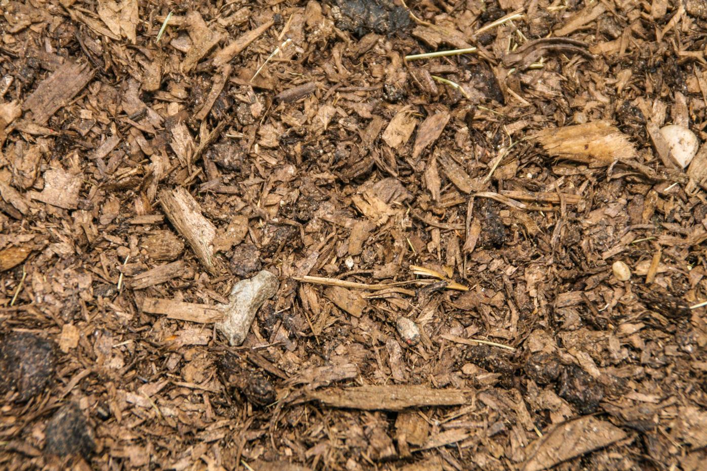 Here's how to make the best use of your mulch [Master Gardener column ...