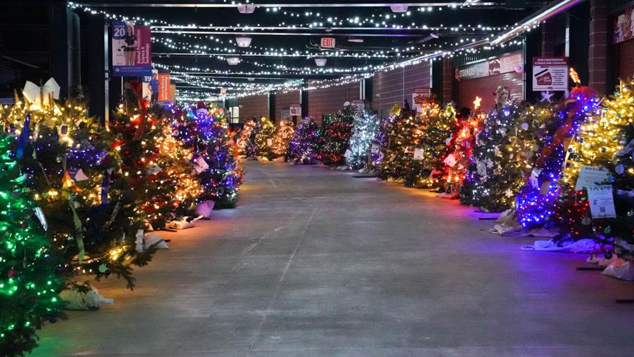 Christmas Tree Lane [photos] | Local News | lancasteronline.com