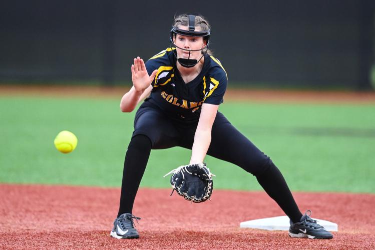 Solanco vs. Warwick - L-L League softball championship [photos] | High ...