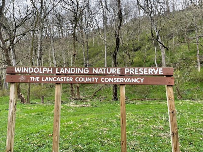 Where to find spring wildflowers in Lancaster County | Home & Garden ...