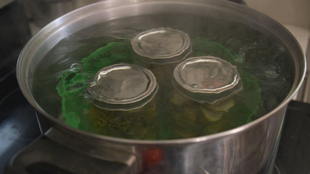 How to pickle cucumbers, peppers and other summer vegetables [recipes ...