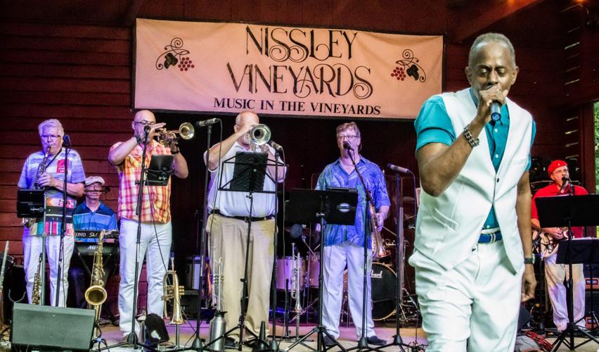 The Maxwell Project, at Nissley Vineyards this weekend, reflects on 40 ...