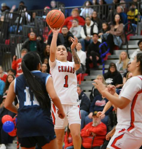 Lebanon vs. Manheim Township - L-L League girls basketball [photos ...