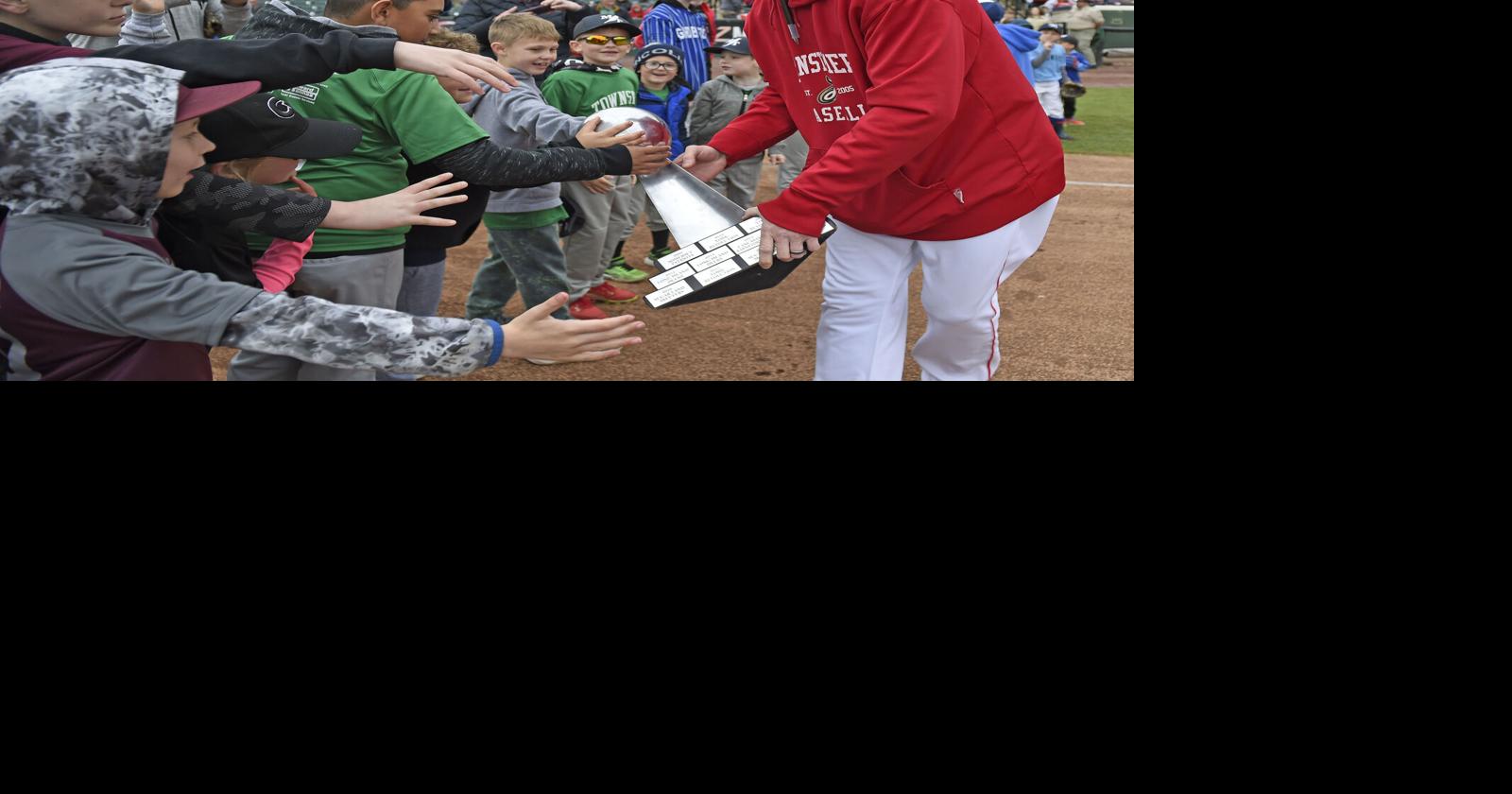 Can artificial turf help the Barnstormers? [column] | Lancaster ...