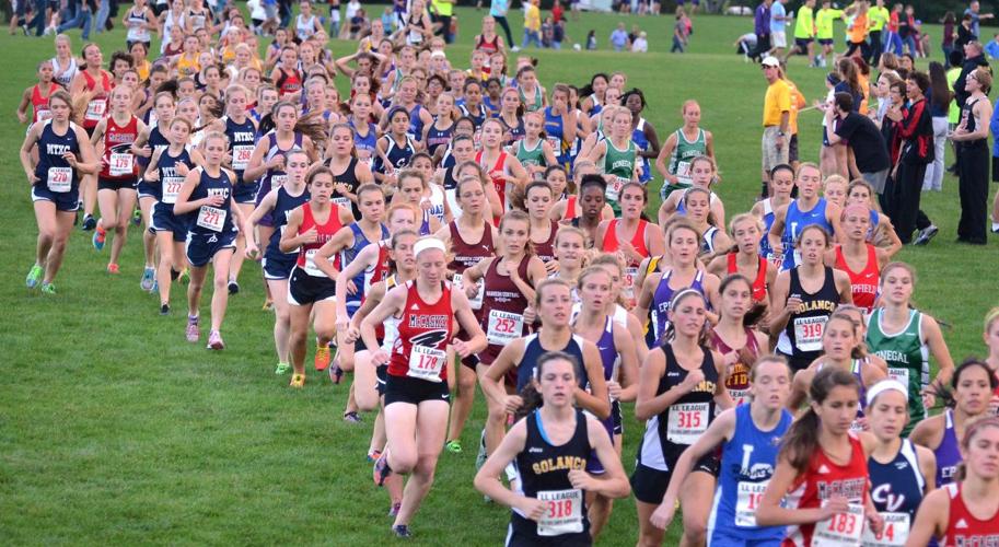 L-L Cross Country: McCaskey's Henderson, Fife win individual titles ...